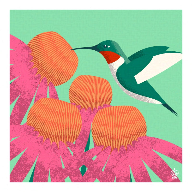 Flutter Ruby Throated Hummingbird 10x10 Giclee Limited Edition Print ...