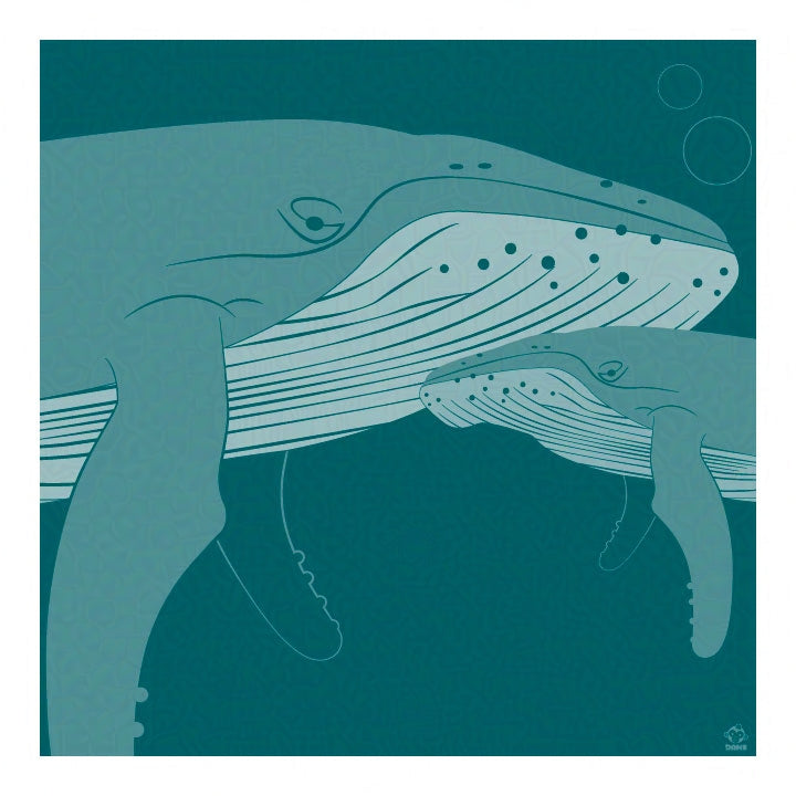 Humpback Whales 10x10 Limited Edition Giclee Print – Monkey Minion