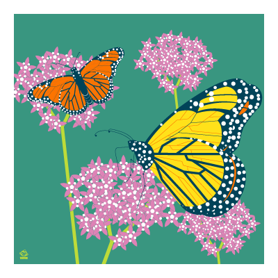Monarch Butterflies "Monarchs & Milkweed" 10x10 Giclee Limited Edition ...